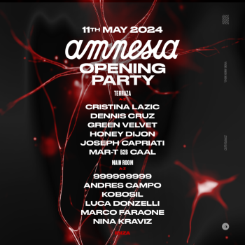 Amnesia Ibiza - The home of electronic music